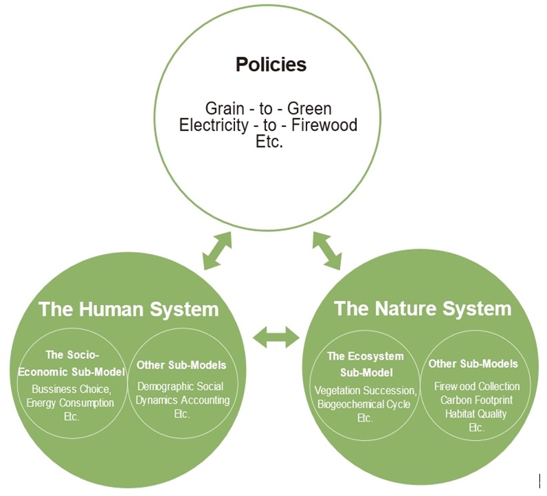 Projects & Activities | KeYi Liu